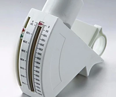Buy Peak Flow Meter/ Plastic Medical Portable Disposable Spirometer ...