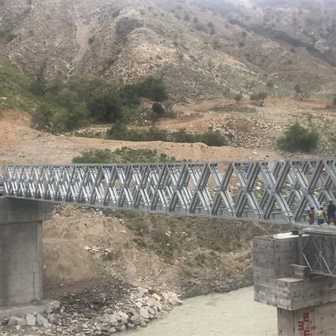Buy Triangle (heavy Duty) Truss Series Steel Structure Bridge from ...