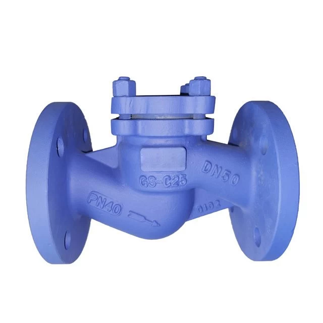 Buy Din Flange End Lift Check Valve from Wenzhou Henlem Valve Co., Ltd ...