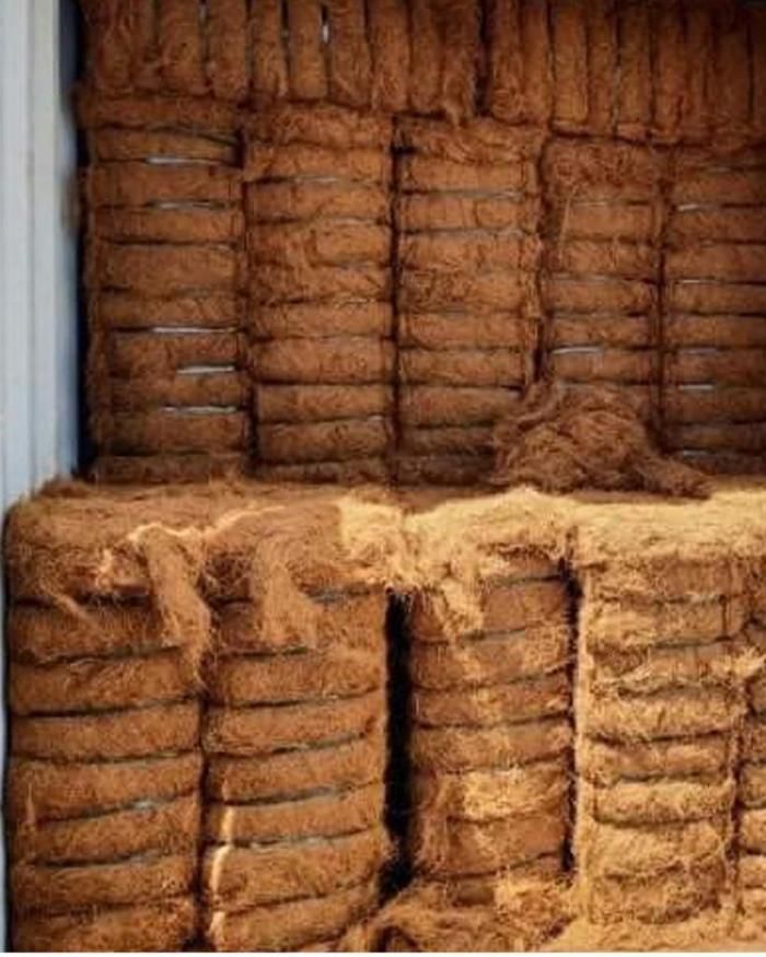 Buy Coconut Fiber / Coirfiber / Cocofiber / Coconut Coir from Imperial ...