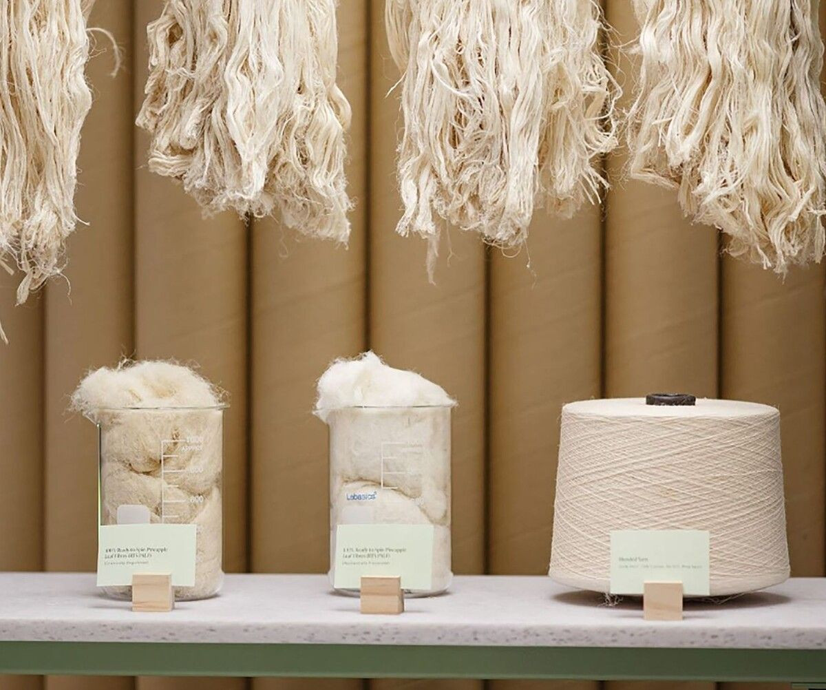 Buy Pina Fiber from Omega Extraction, Bangladesh | Tradewheel.com
