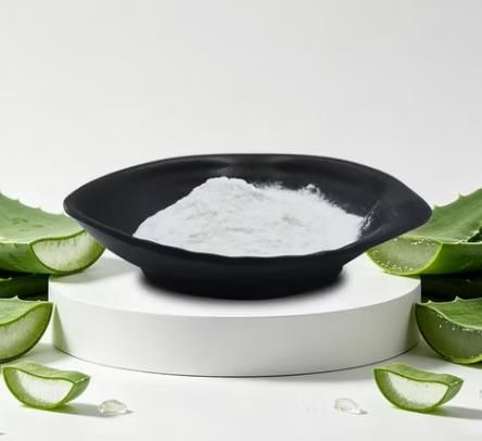 Buy Bulk Aloe Vera Powder Cosmetics Grade Freeze Dried Aloe Vera ...