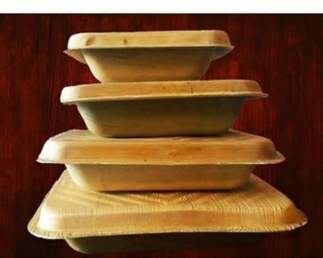 Buy Areca Leaf Take Away Container from Ayu eco product, India ...