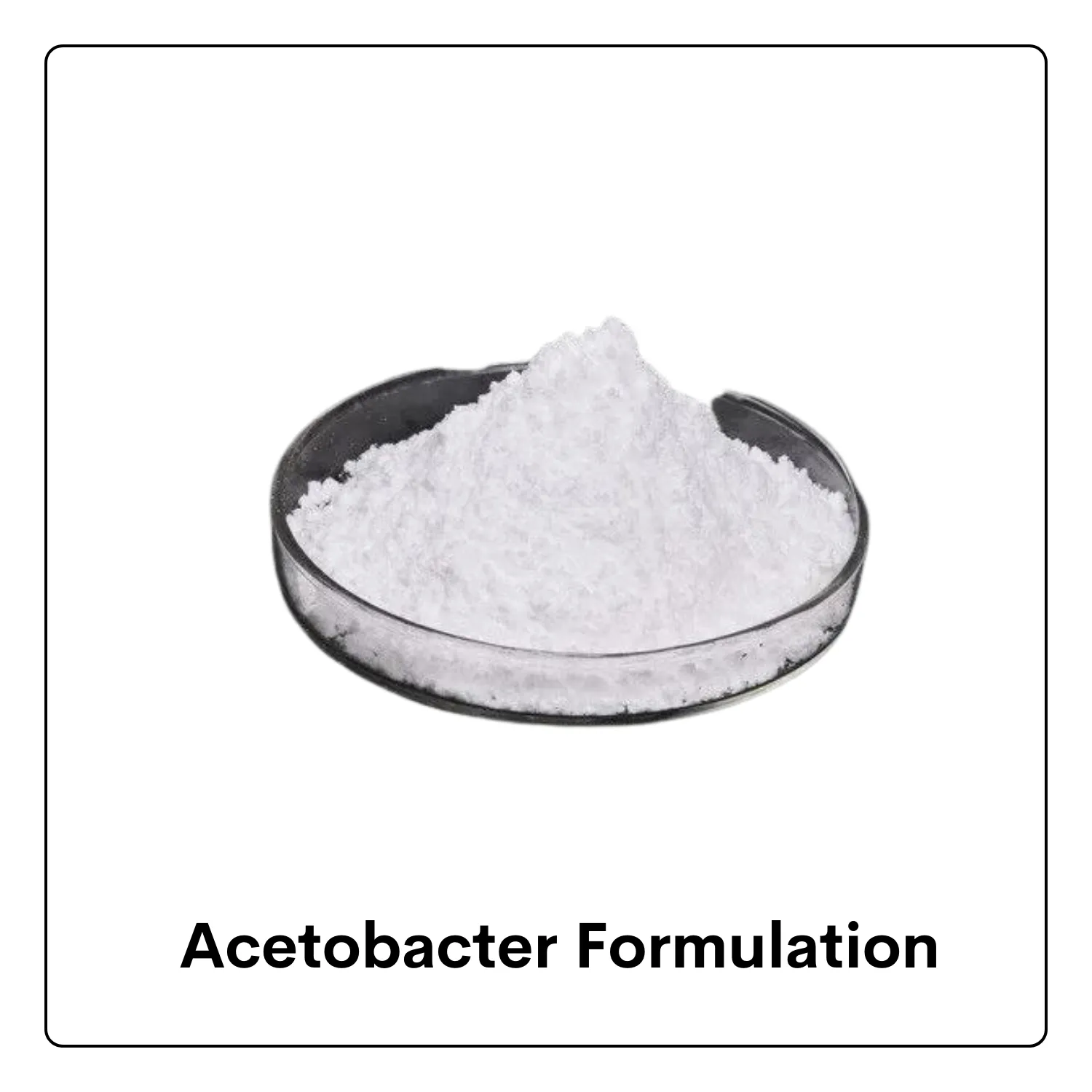 Buy Acetobacter from Unicrop biochem, India | Tradewheel.com