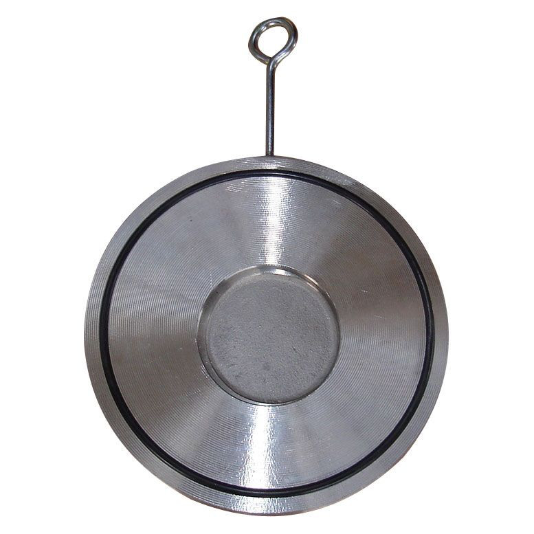 Buy Quality Single Disc Check Valve Dn50-300 from TIANJIN LIWEI VALVE ...