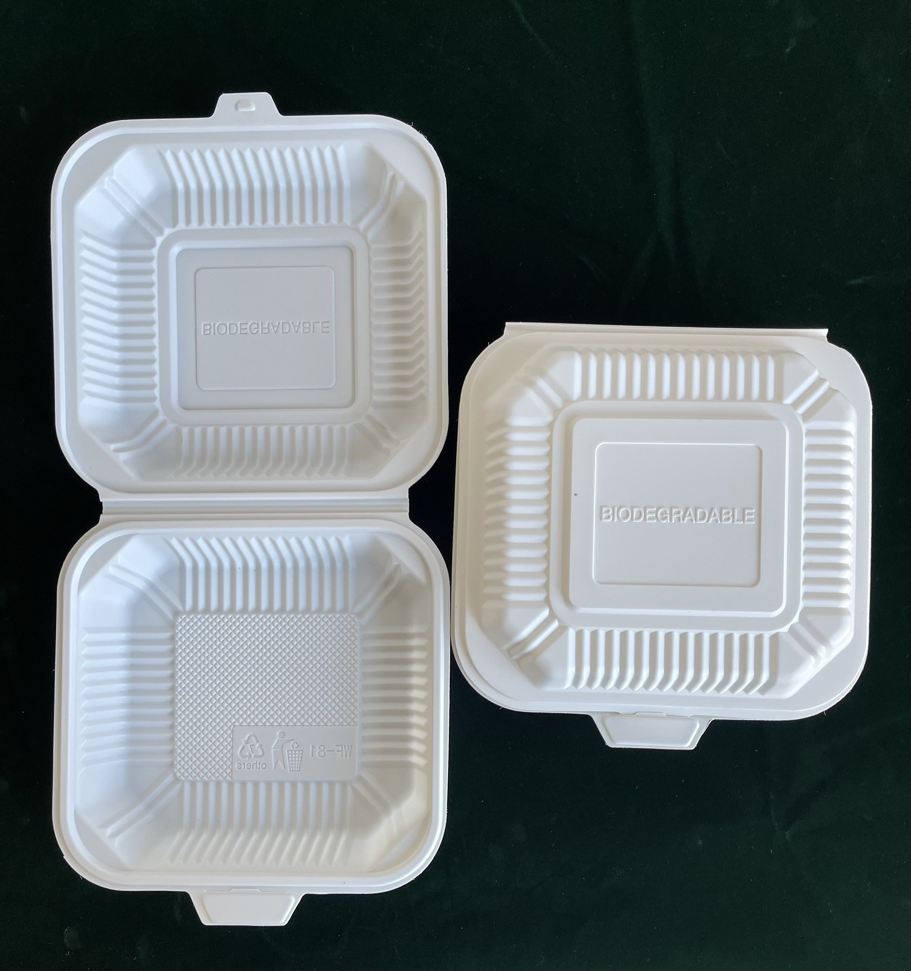 Buy 8" Takeout Box Eco-friendly Cornstarch Based Clamshell Take Away ...