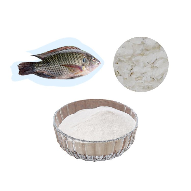 Buy Fish Collagen/ Type I Collagen/ Animal Collagen/ Collagen Peptide ...