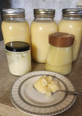 Buy Premium 100% Natural Cow And Duck Tallow For Sale from Bright ...