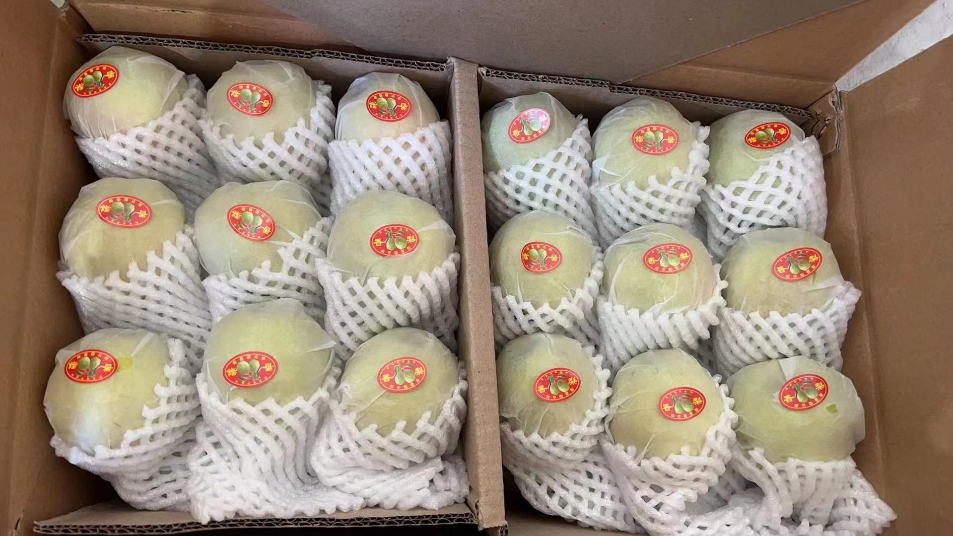 Buy Korla Fragrant Pear from Xinjiang Derun Agricultural Products ...