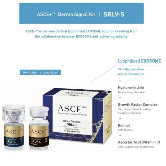 Buy Asce Exosomes Asce+ Srlv (20mg+5ml) Plus Derma Signal Pdrn Skin ...