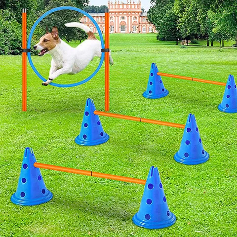 Buy Dog Agility Training Kit With Jump Bar And Combined Obstacle Course ...