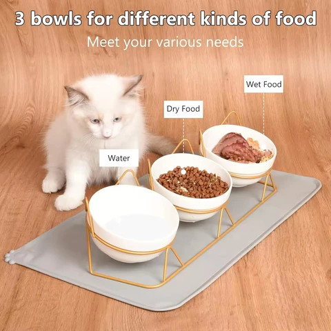 Buy Elevated Cat Drink Bowl Gold Stand Ceramic Raised Cat Food Bowls ...