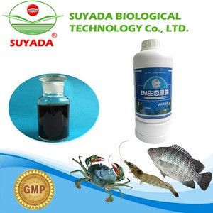 Buy High Efficiency Bulk Feed Additives Aquaculture Probiotics To ...