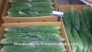 Buy Indian Karela Vegetable/fresh Bitter Gourd! from BHUVANI EXPORTS ...