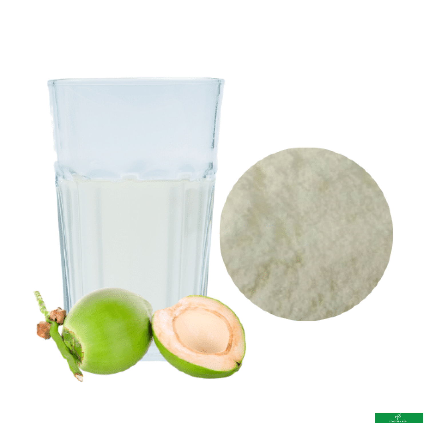 Buy Coconut Water Powder, Spray Dried Nam-hom Coconut Water from Food ...