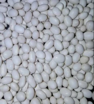 Buy White Pea Beans from Addis Coffee, Netherlands | Tradewheel.com