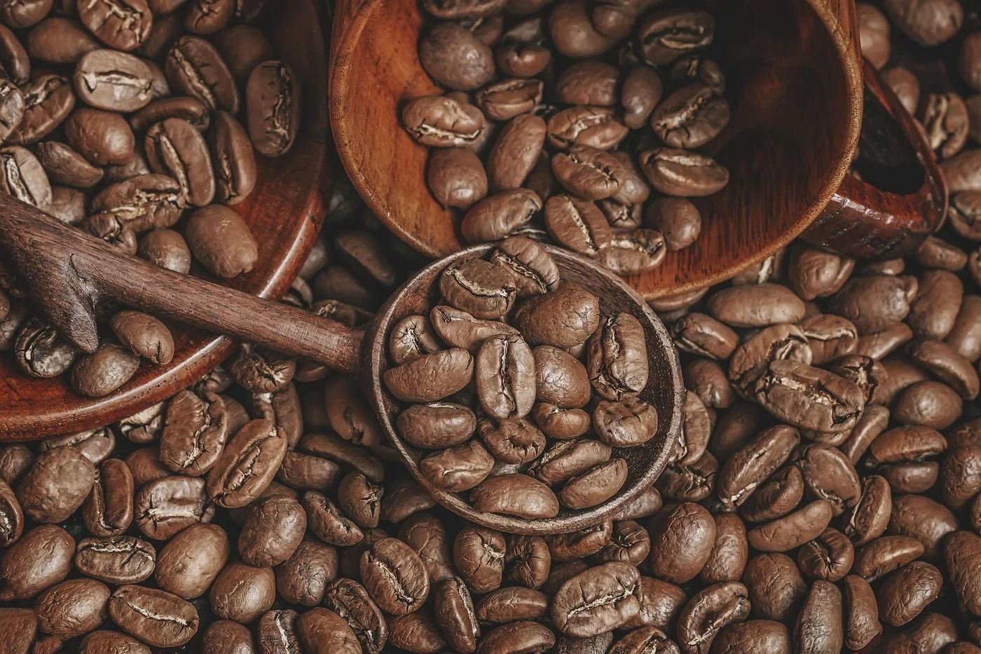 Buy High-quality Kenyan Arabica Coffee Beans For Export – Bulk Supply ...