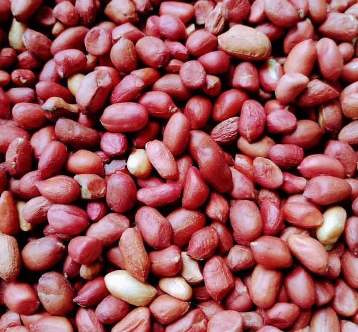 Buy Peanut - Java Or Bold from Birmon Trading Group limited, Cameroon ...
