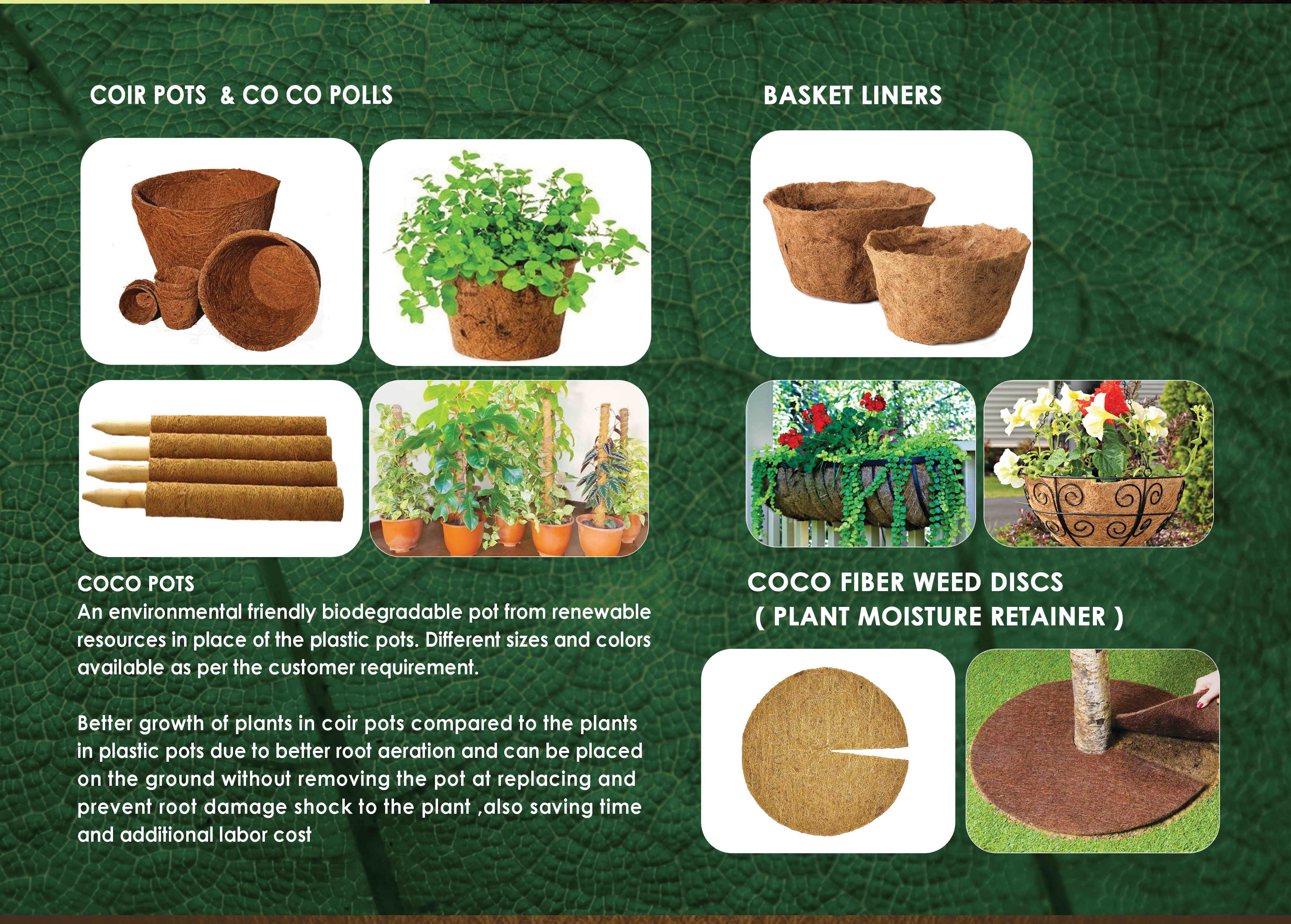 Buy Grow Poles / Coir Pots from Sasen Exporters (PVT) Ltd, Sri Lanka ...