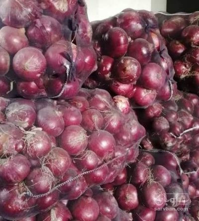 Buy Red Onions from Iranian Wholesale supplier of onions, Iran ...