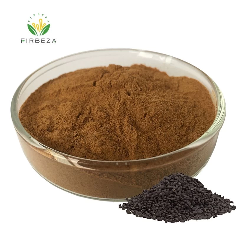 Buy Organic Black Cumin Nigella Sativa Seed Powder Extract from Company ...