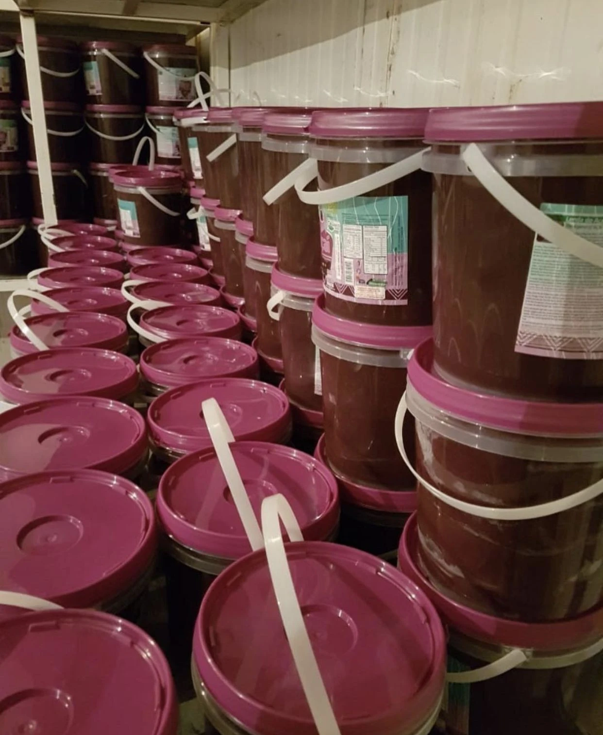 Buy Premium Acai From Amazon, Wild-harvested Acai Berries All-natural ...