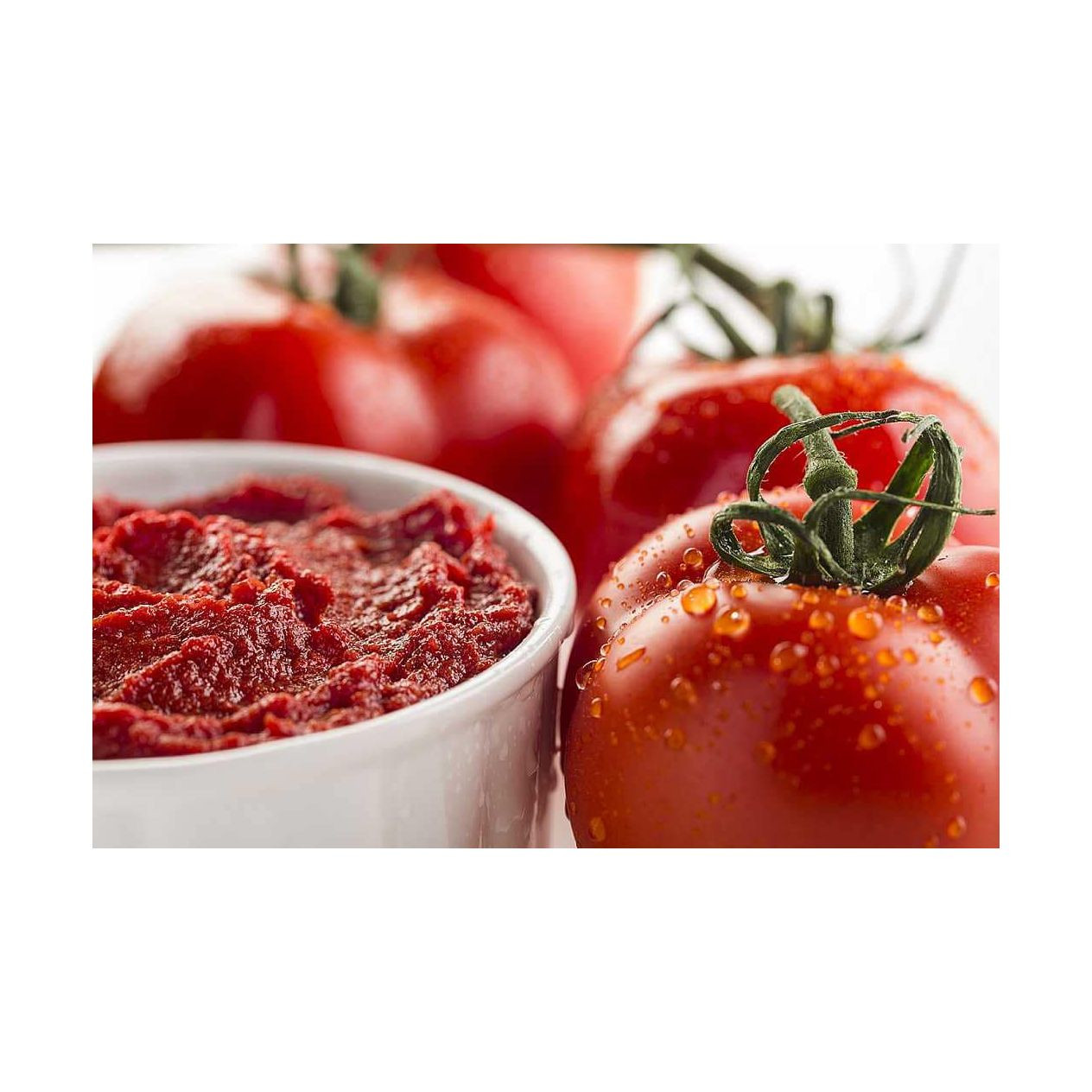 Buy Wholesale Easy Open Tomato Paste Canned Tomato Paste Tinned,high ...