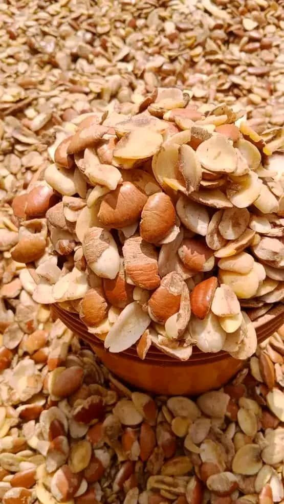 Buy Fresh Ogbono from Skylar Snails and Foods, Nigeria | Tradewheel.com