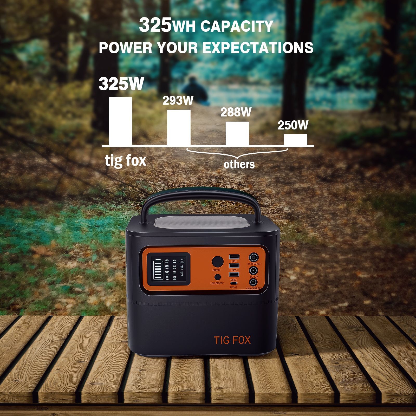 Buy Tig Fox Portable Power Station from dasuch-gmbh, Germany ...
