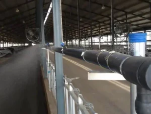 Buy A Spray Cooling System For Cows That Wet Their Backs In 8 Seconds ...