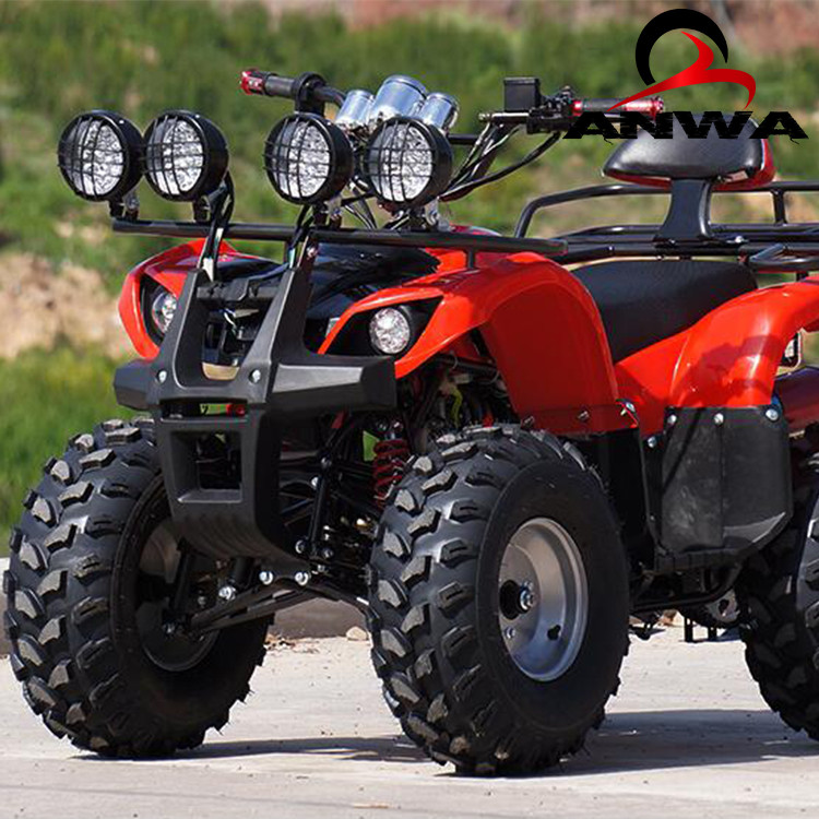 Buy Chinese Professional Gasoline Powered 110cc Atv Sport Quad Atv from ...