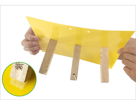 Buy Fly Control Yellow Glue Board Double Side Insect Sticky Traps ...