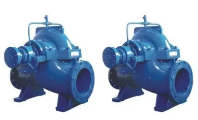 Buy Horizontally Split Double Suction Centrifugal Pump from Wenzhou ...
