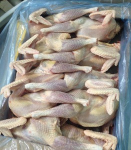 Buy Mechanically Deboned Chicken Meat ( Chicken Mdm ) from AY Trade ...