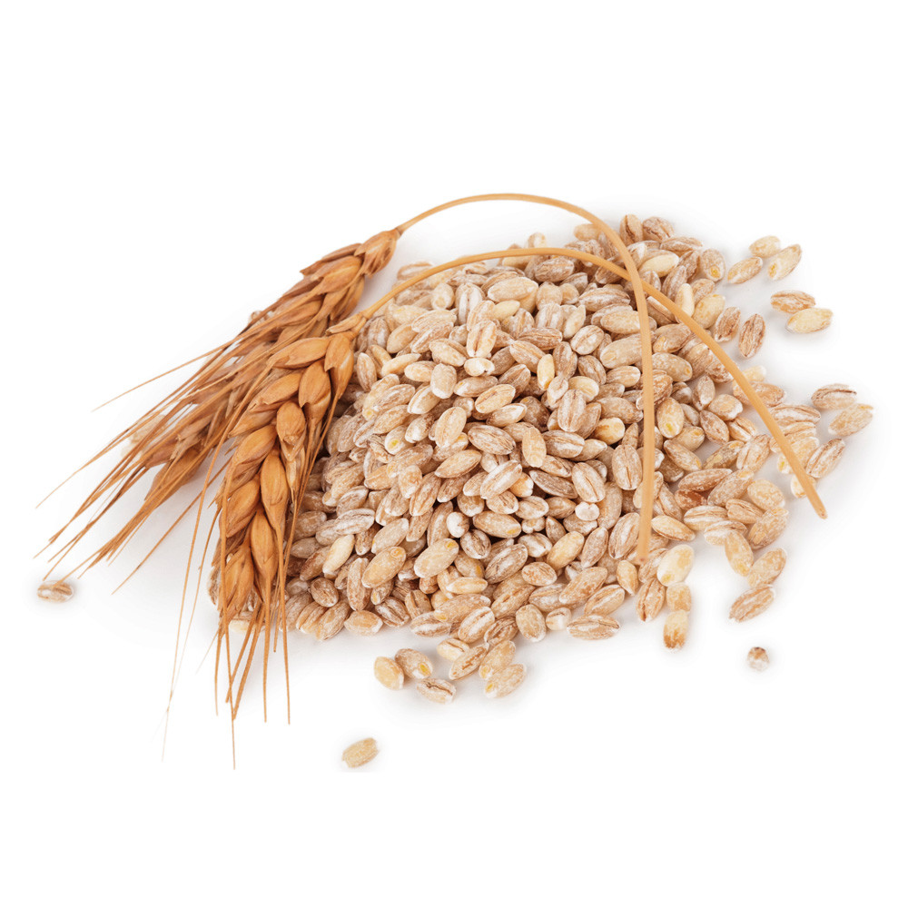 Buy Russian Barley Grain, Suitable For Farming Fodder from AMURZERNO ...