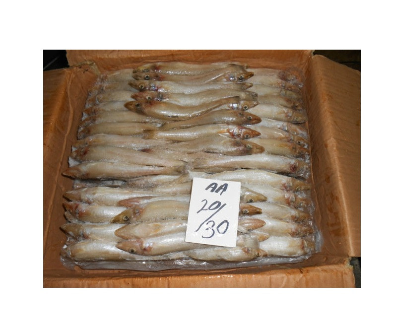 Buy Whole Round Frozen Silver Sillago (lady Fish) from J AND SHARP ...