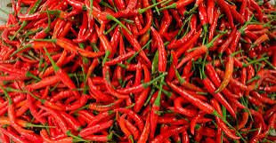 Buy African Peri Peri Pepper from Royal African Health & Beauty LLC ...