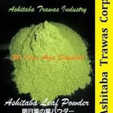 Buy Ashitaba Powder from CV.Ashitaba Trawas Industry, Indonesia ...