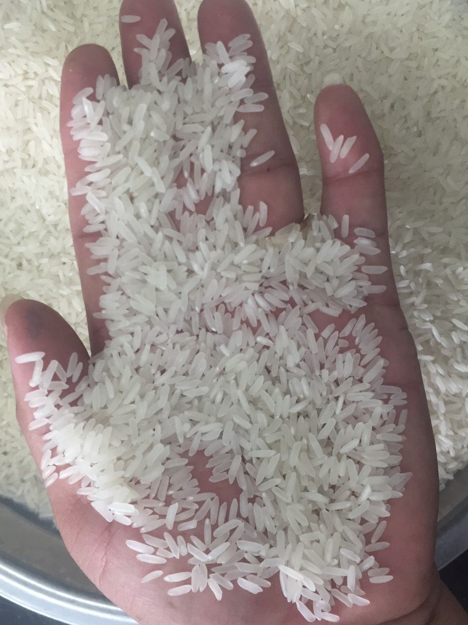 Buy Vietnamese Jasmine Fragrant Rice 5% Broken from HOANG MINH NHAT CO ...