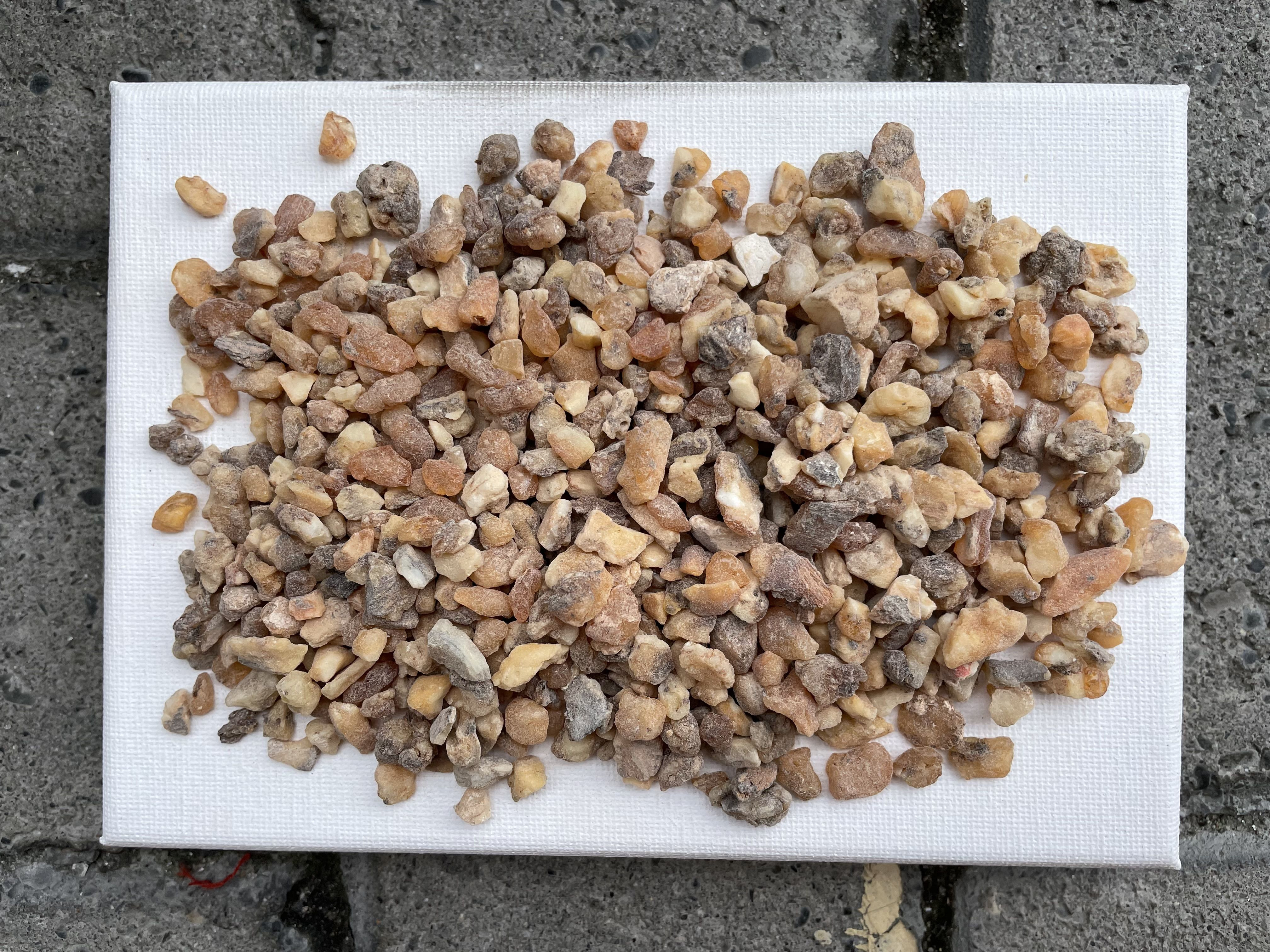Buy Benzoin Sumatra (grade B-2) from Toba Wira Agrindo, PT, Indonesia ...