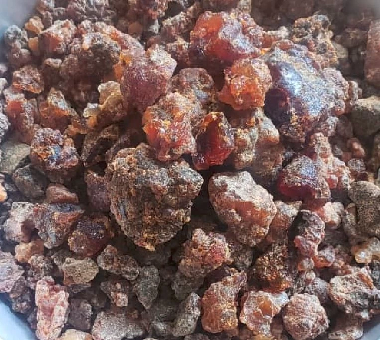 Buy Commiphora Myrrha from Arabia Plants, Yemen | Tradewheel.com