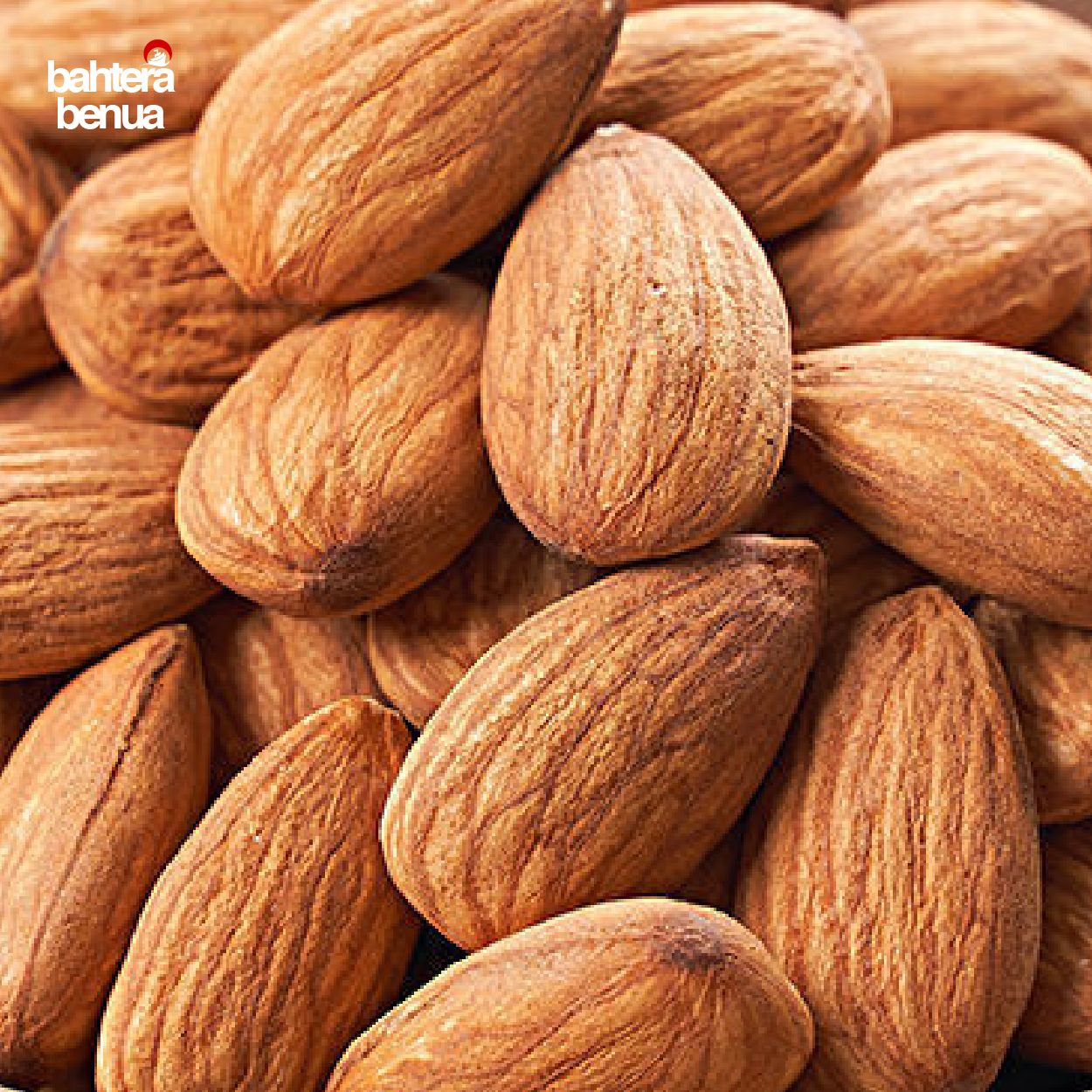 Buy Premium Almond Nuts, Packed In Vacuum Pack In Best Wholesale from ...
