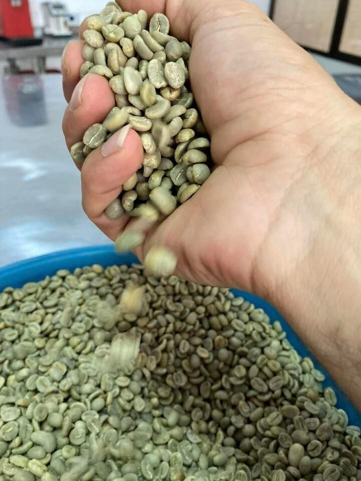 Buy Roasted Robusta Coffee Beans from D&A holding AB, Sweden ...