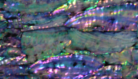 Buy Db002 Mother Of Pearl Shell Veneer Paua Abalone Paper Laminate ...