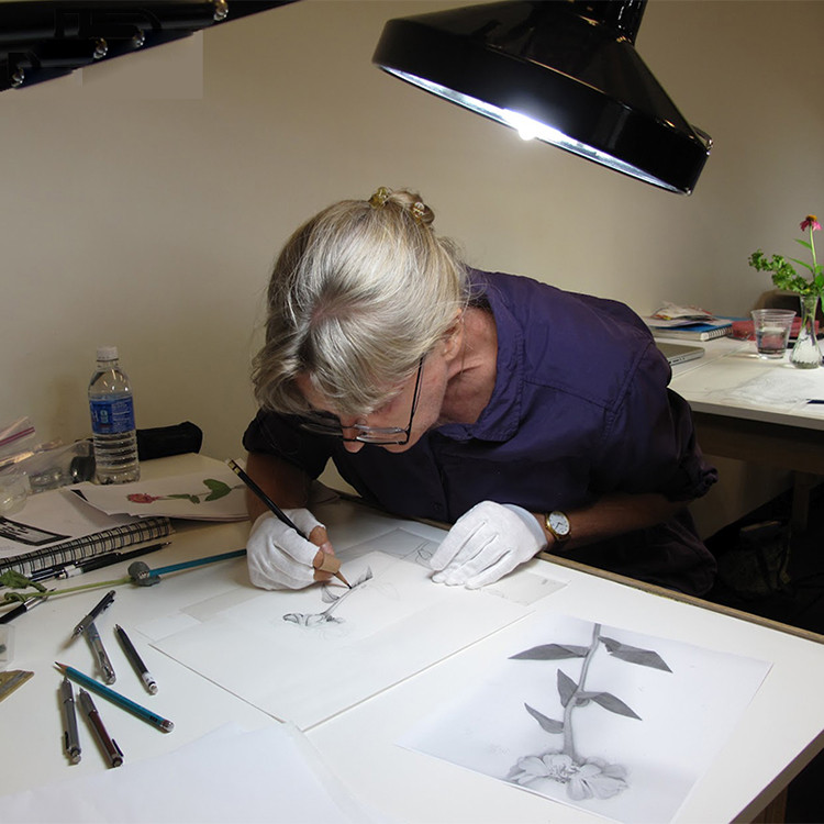 Buy Drawing Drafting Paper And Film In Roll And Sheet from Hebei Jubang ...