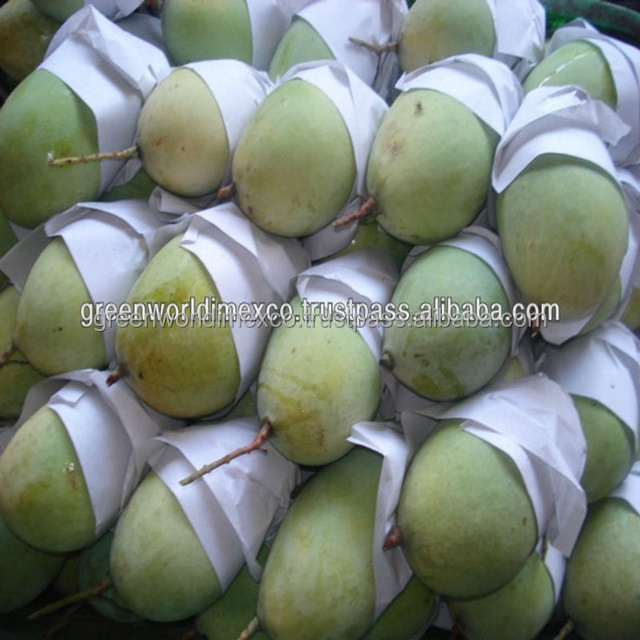 Buy Fresh Mango With Good Taste, Best Price From Vietnam from GREEN ...