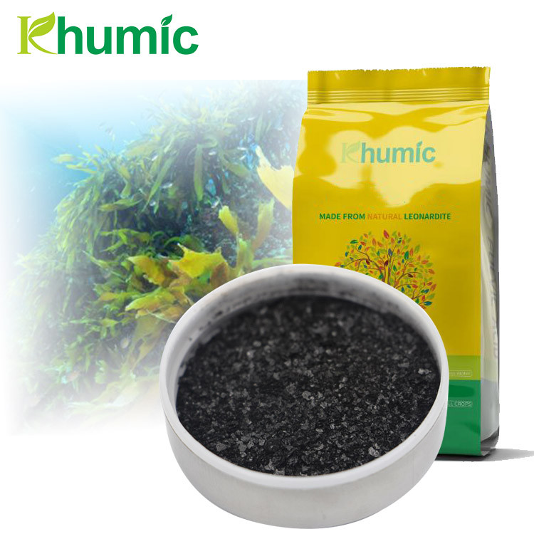 Buy Hydroponics Sea Kelp Fertilizer Liquid Seaweed Extract Organic Npk ...