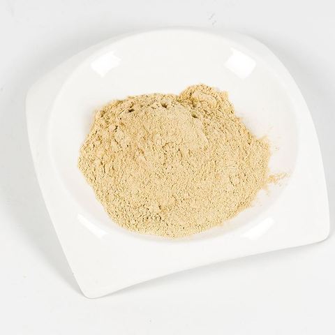 Buy Pea Protein Concentrate Powder Organic Pea Protein Powder Animal ...