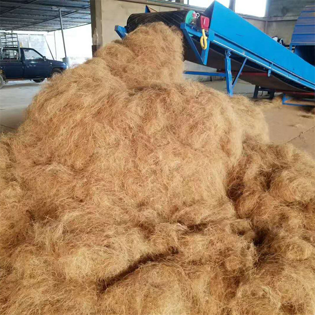 Buy Professional Coconut Machine Coconut Coir Fiber Extracting Drying ...