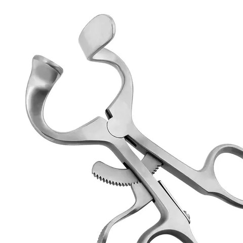 Buy Professional Stainless Steel Dental Mouth Gag Molt Surgical Mouth ...